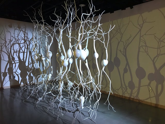 Art + Science